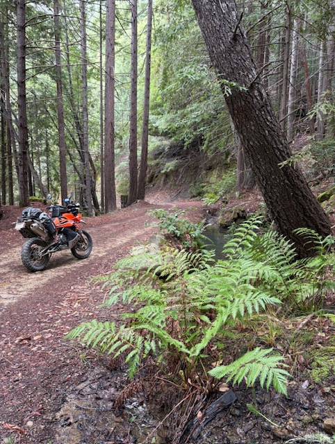 Sierra Nevada Adventures | Dual Sport Multi Day Rides | Pacific Coast Rides | Trail of Tear ...